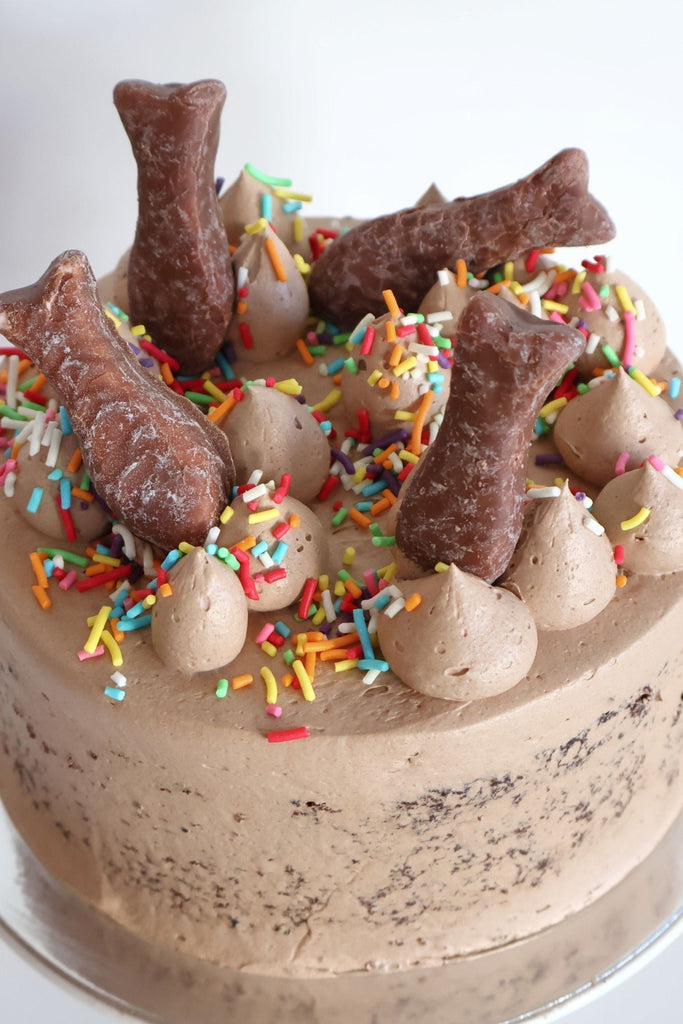 Chocolate Fish – Cake & Co